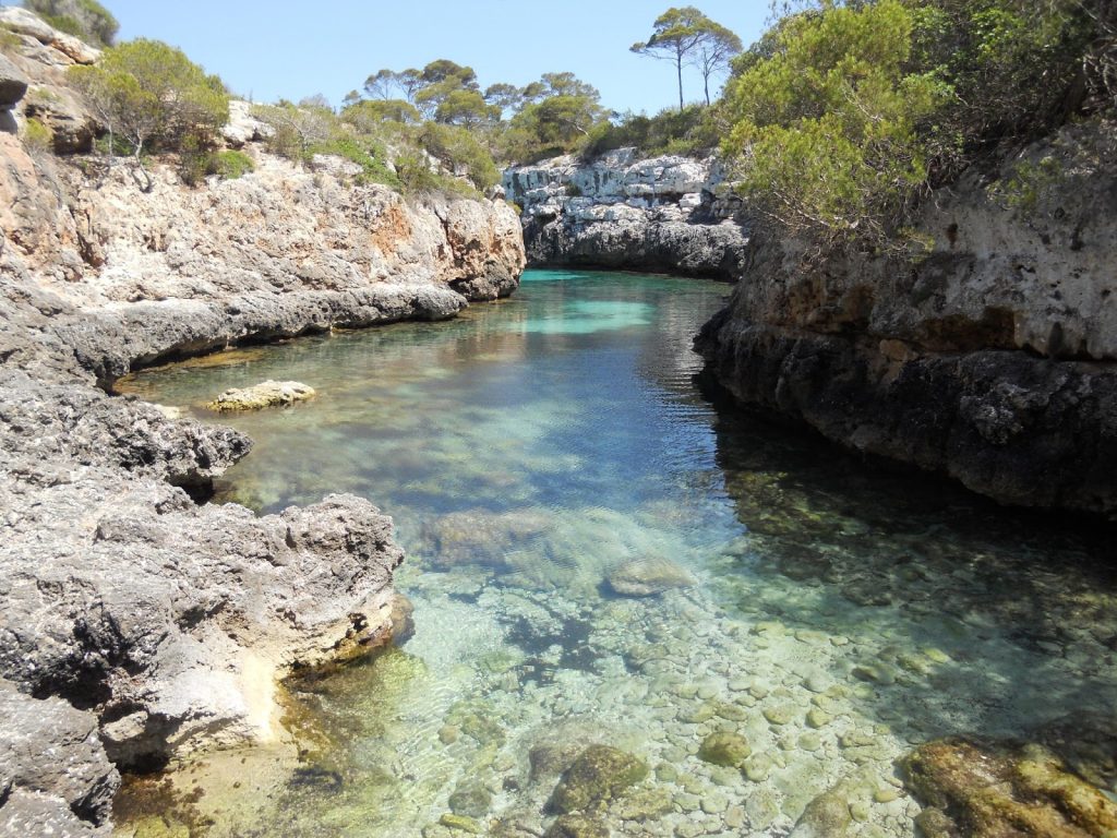 ¿Preparada para el verano? – MAV Magazine by Aurora Vega